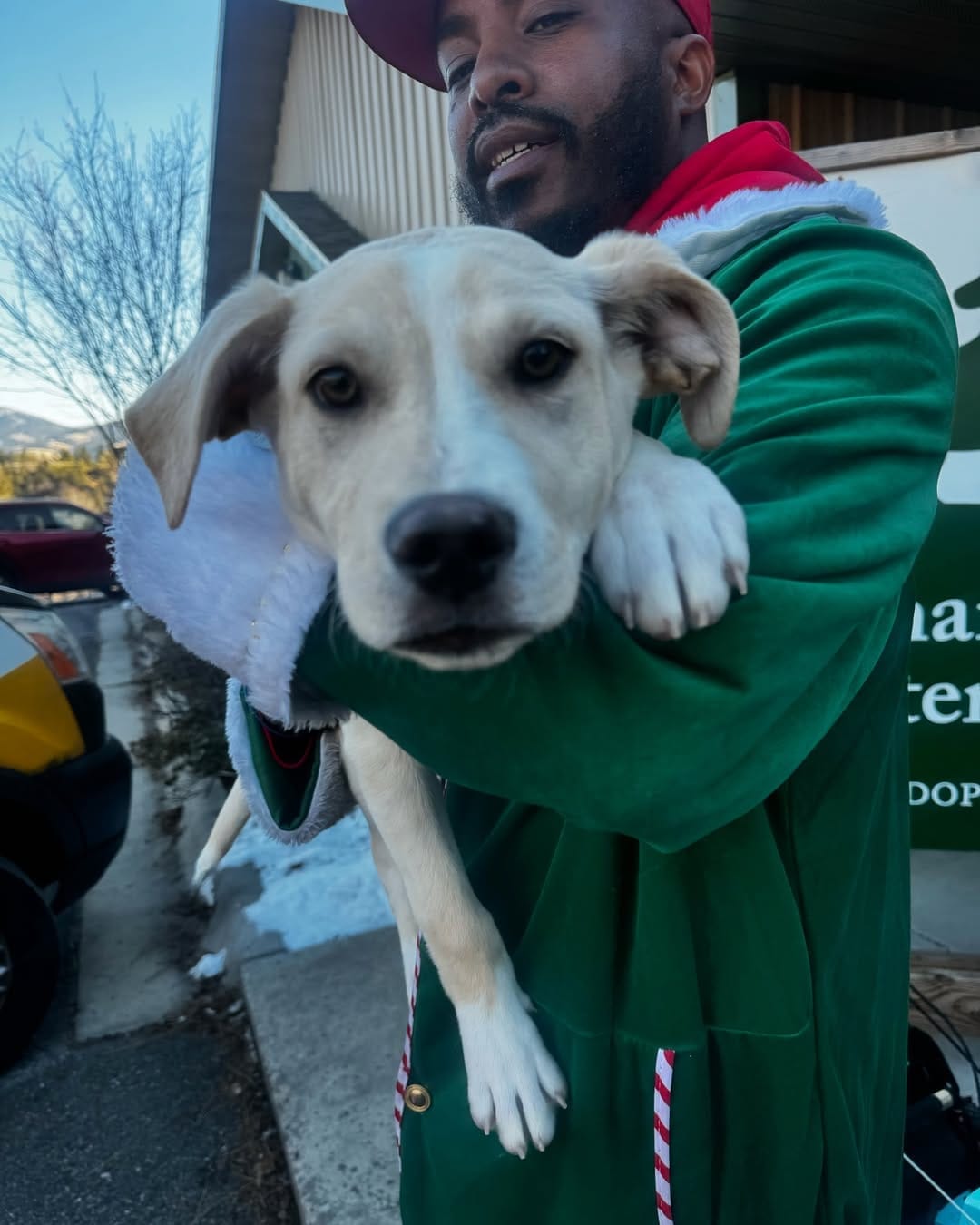 AUDIO: Alabama's Rodney Smith Jr. and his never-ending mission to ...